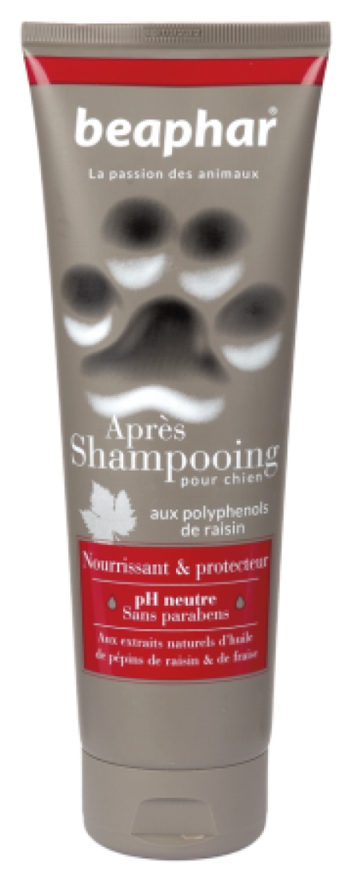 Beaphar Shampoo premium conditioner dog - Premium šampon kondicioner za krzno psa 250 ml