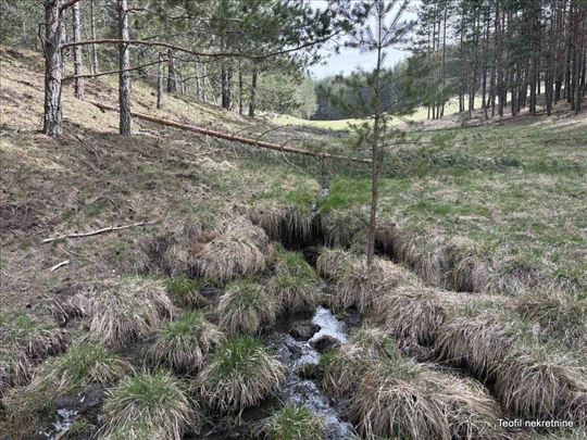 Zlatibor, 66 a, izvor na placu, dozvoljena gradnja