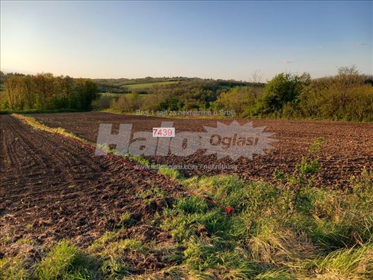 zemljište u podnožju planine KOSMAJ
