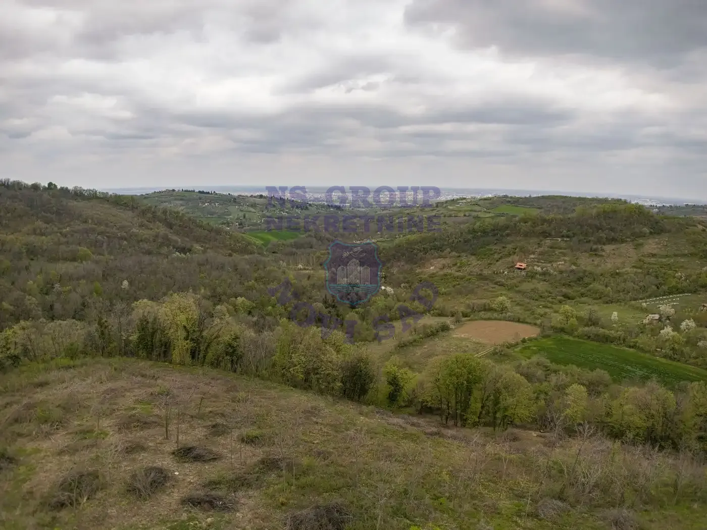 Stari Ledinci, Ledinci, Oskoruša