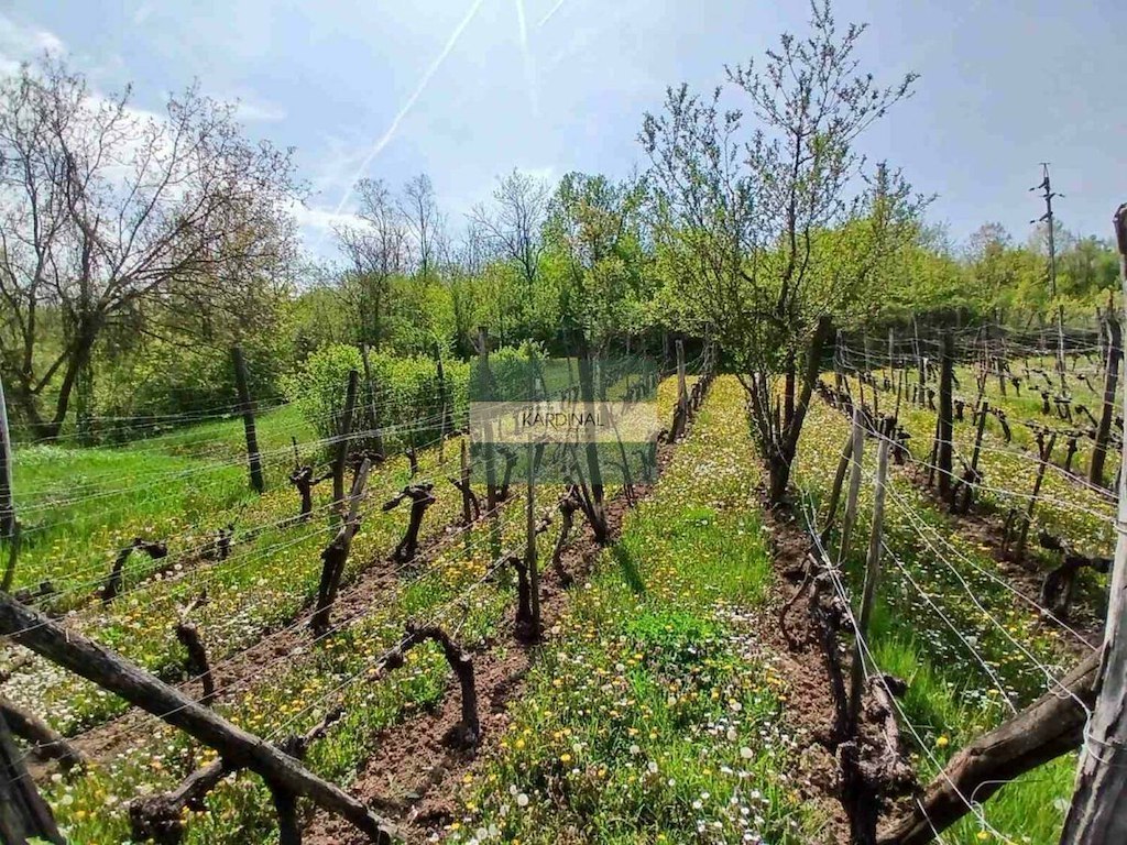 Plac, Jagodina - Majur | Prodaja · 12.580€