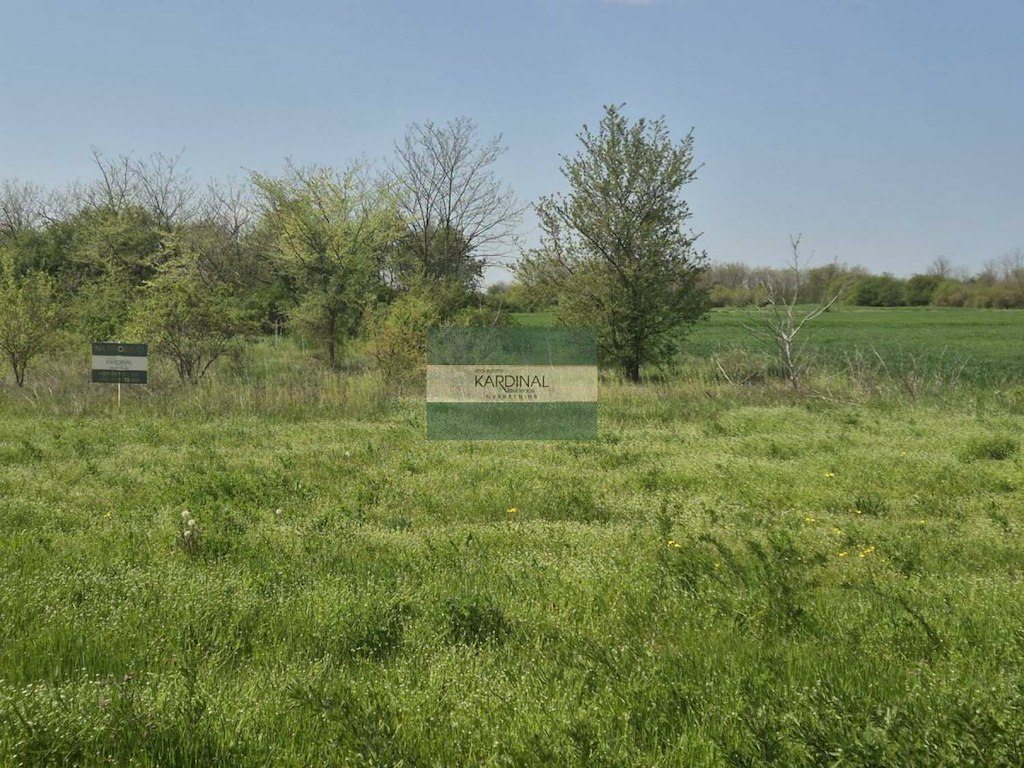 Plac, Jagodina - Vinorača | Prodaja · 29.000€