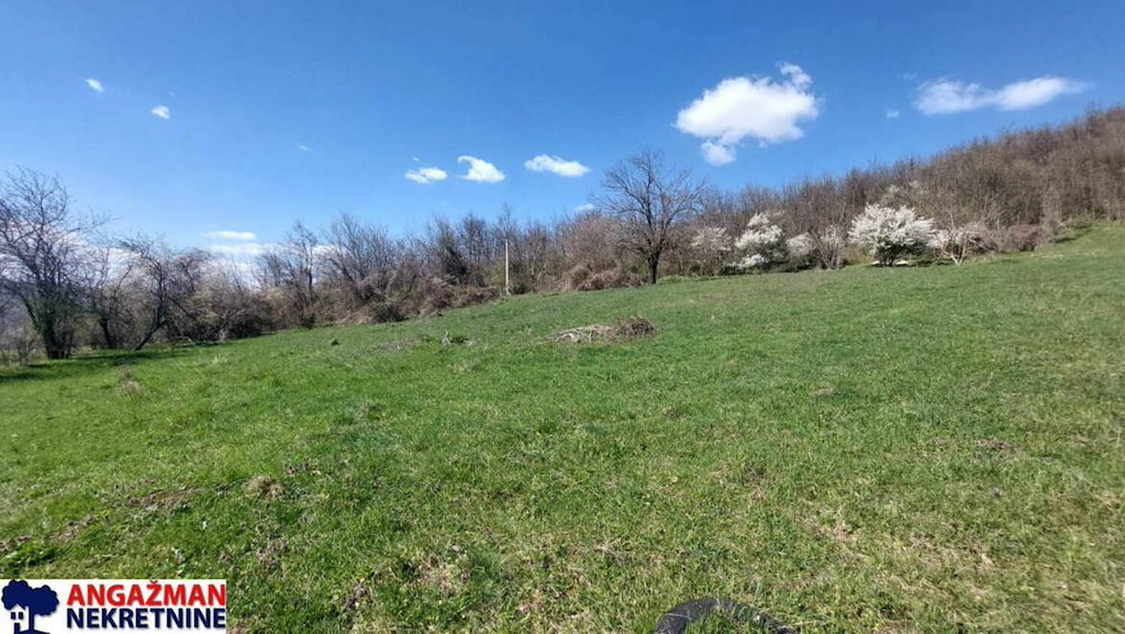 Plac, Boljevac - Krivi Vir | Prodaja · 4925m² · 7.500€
