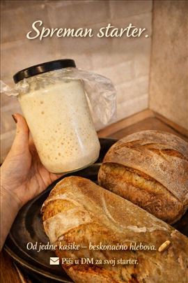 Aktivni Sourdough starter – Star 2 ipo godine