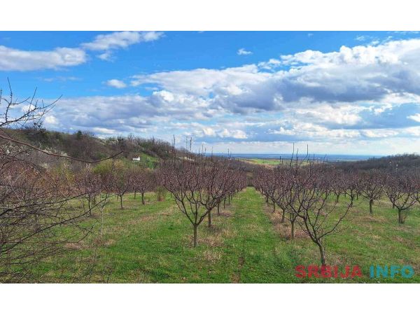 Prodajem plac-zemlju LUX zona