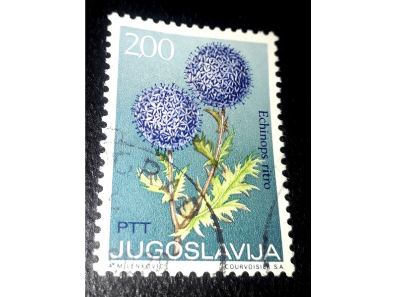 YU 1973 flora