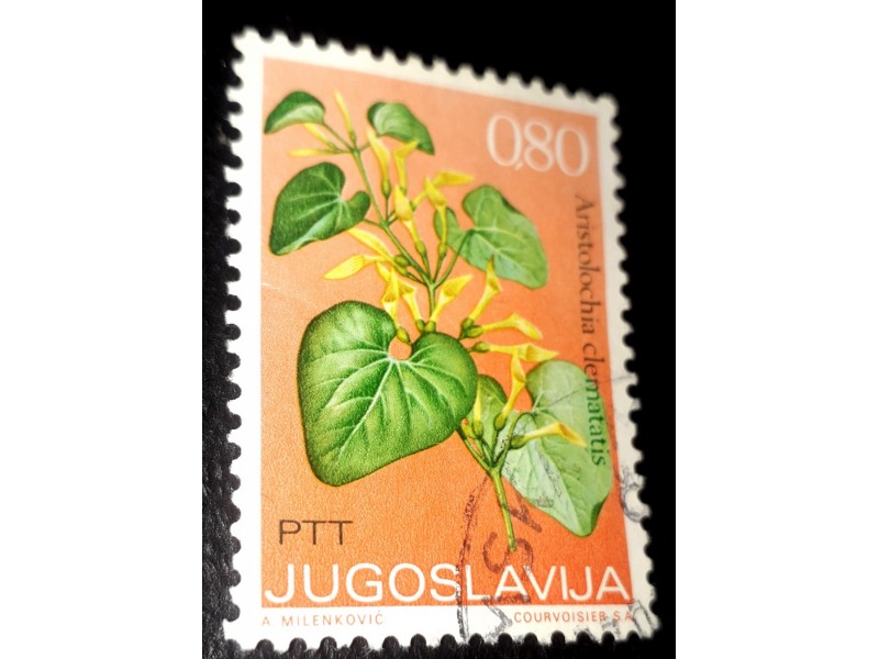 YU 1973 flora