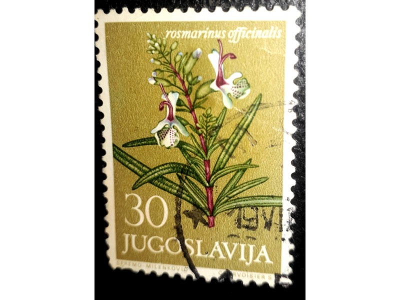 YU 1965 flora