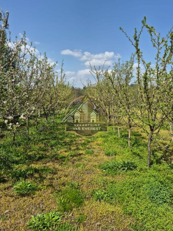 Plac na prodaju, Voždovac, Ripanj, 61.000€