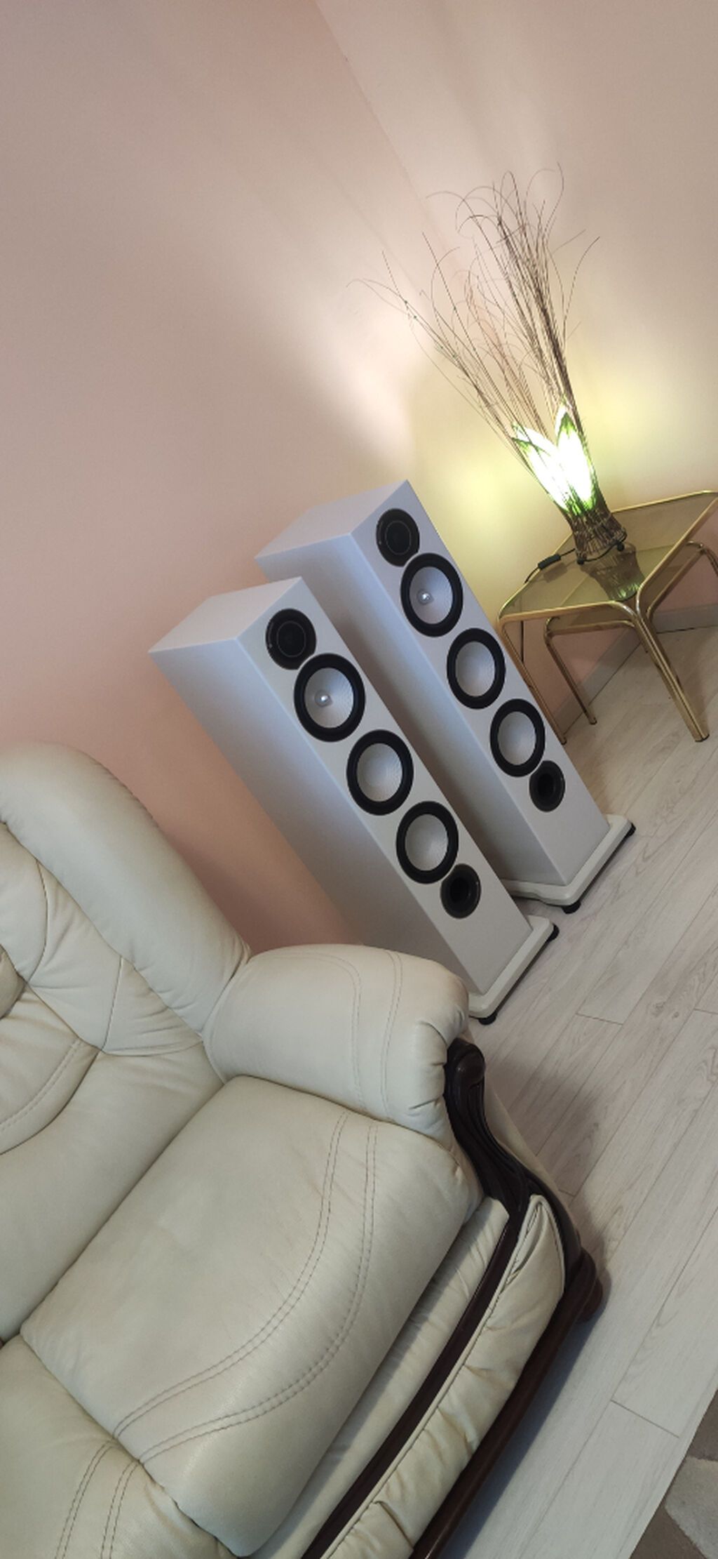 Monitor Audio Silver RX8,vrlo retke kutije na našem tržištu Bela