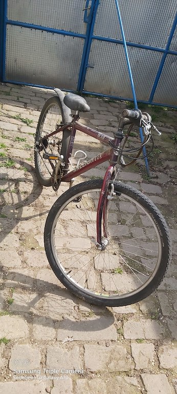Raleigh muški/uni brdski bicikl, klasični čelični ram - Ram: čelični
