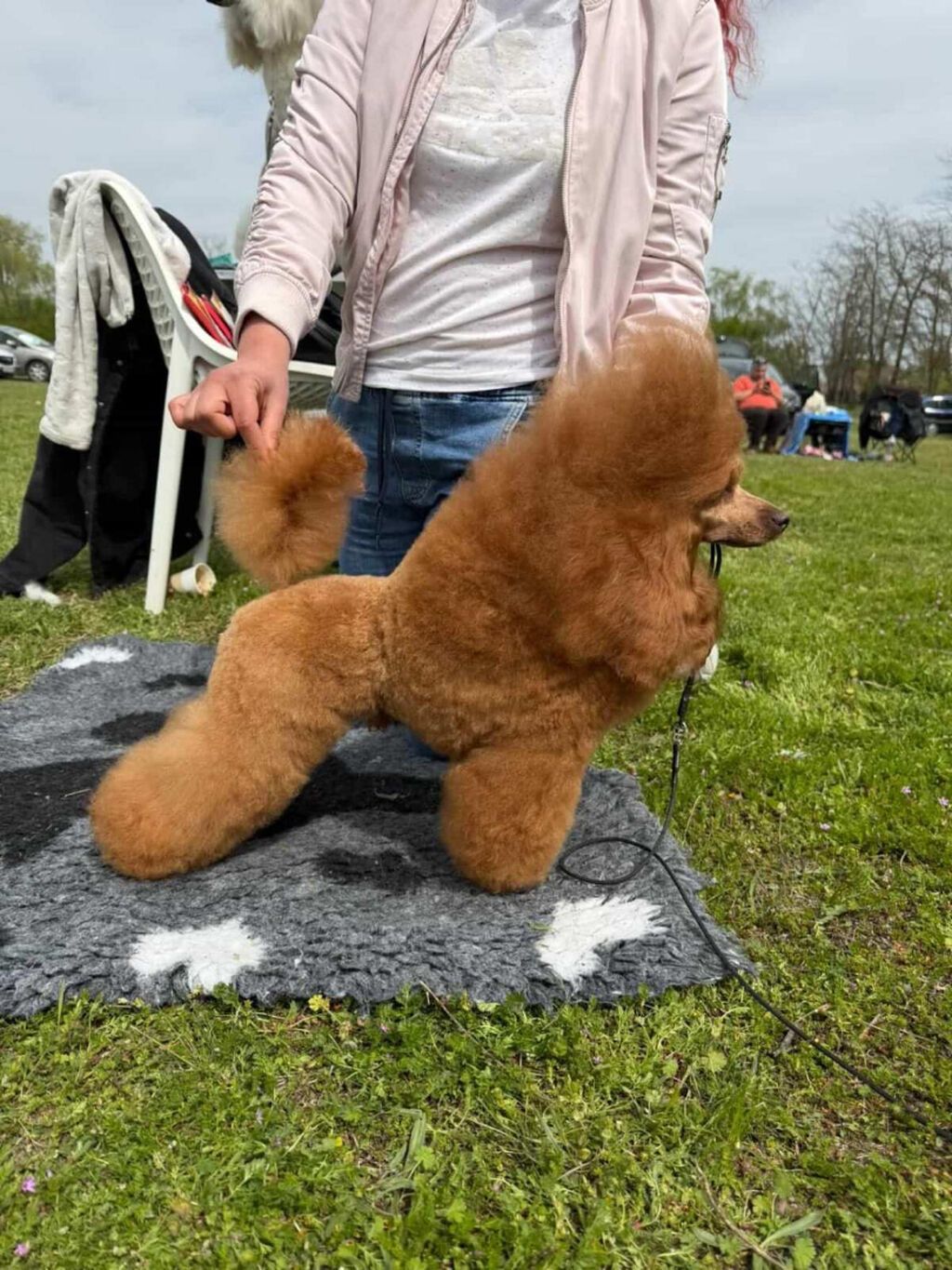 ELEGIJA STIYLA CHINGISKHAN – vrhunski crveni toy mužjak dostupan za