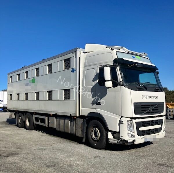 Volvo FH 500 *6x2 *Doppelstock *Lift *Livestock *VIDEO kamion za prevoz stoke