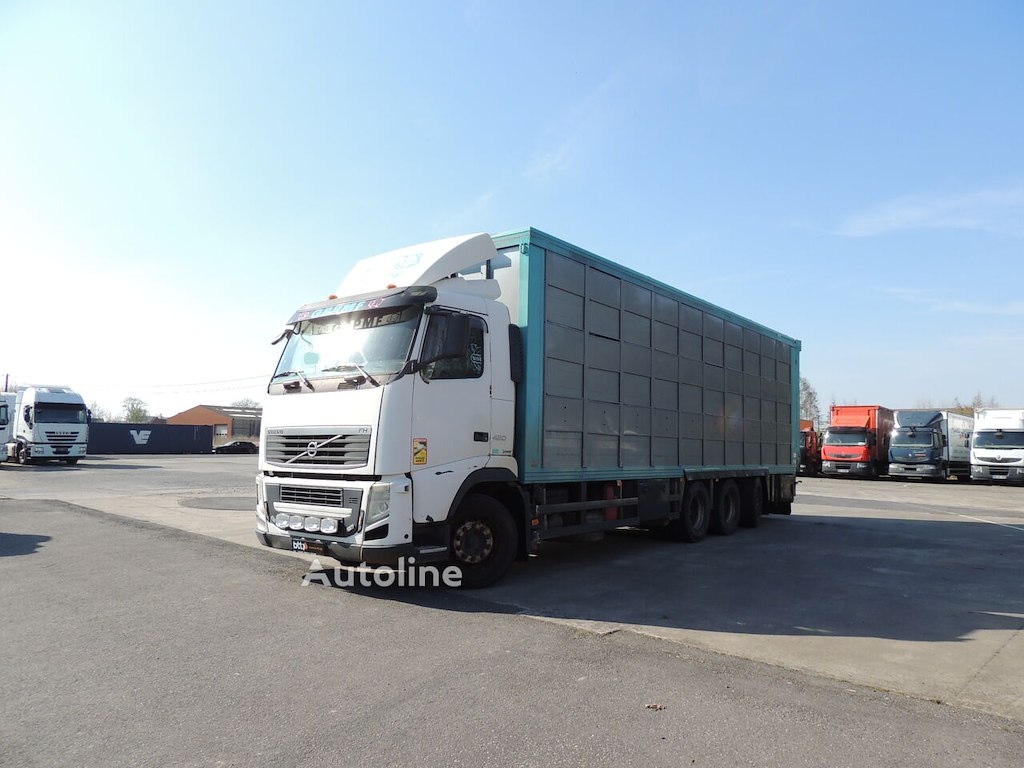 Volvo FH13 420 8x2 viehwagen kamion za prevoz stoke