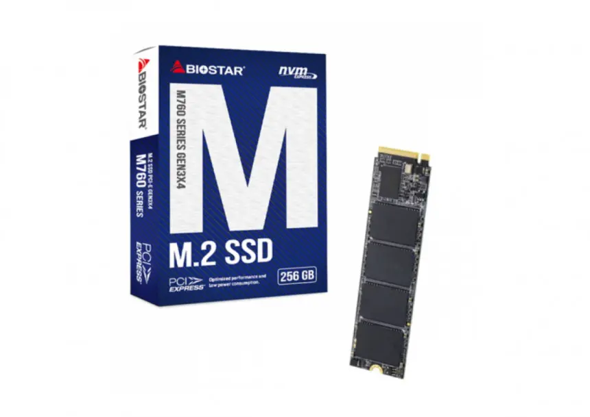 SSD M.2 NVMe Biostar M760 256GB, M760-256GB