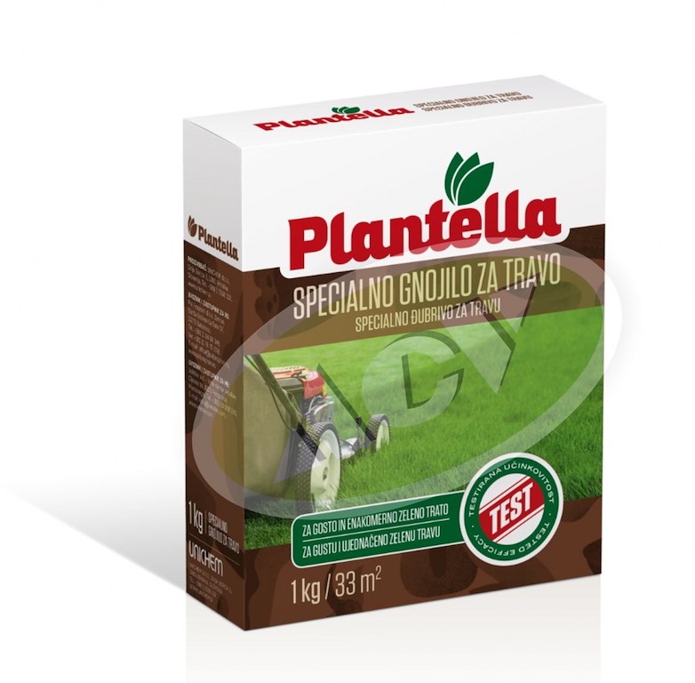 PLANTELA TRAVA 1|1