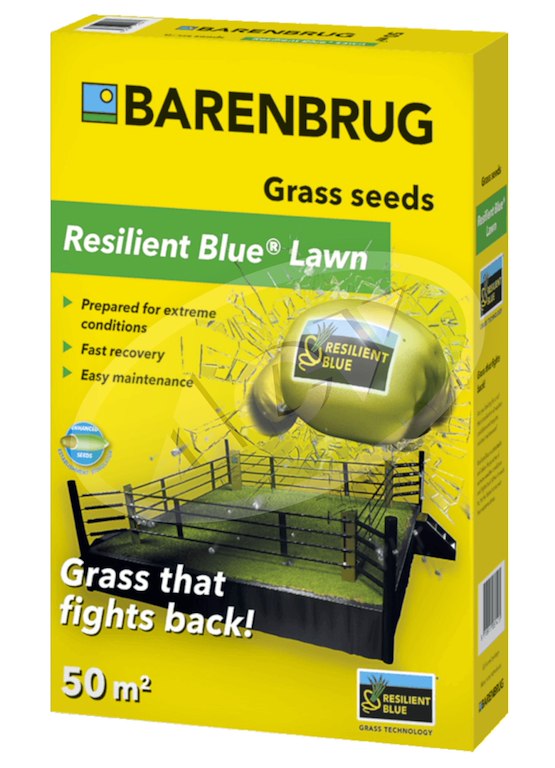 BARENBURG 1|1 RESILIENT BLUE
