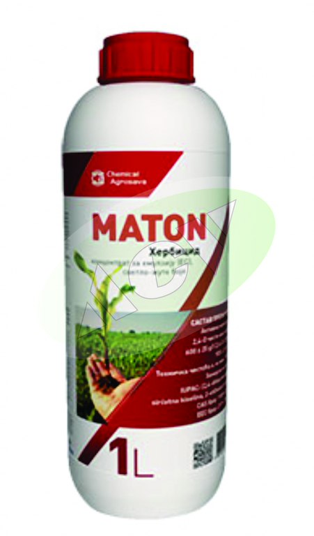 MATON 1|1