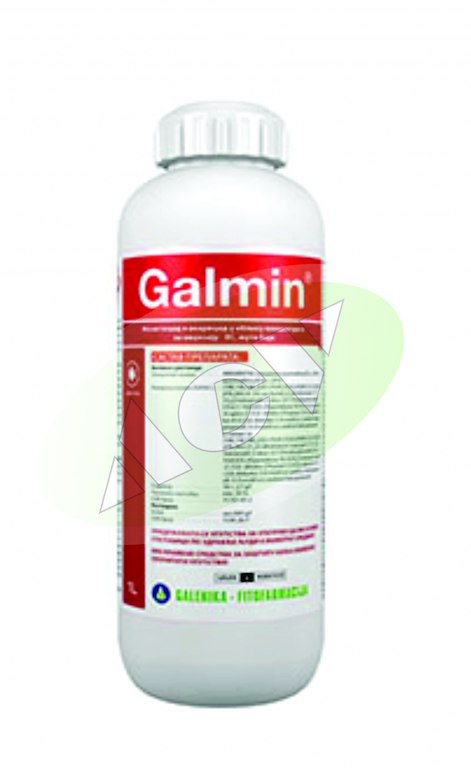 GALMIN 1|1