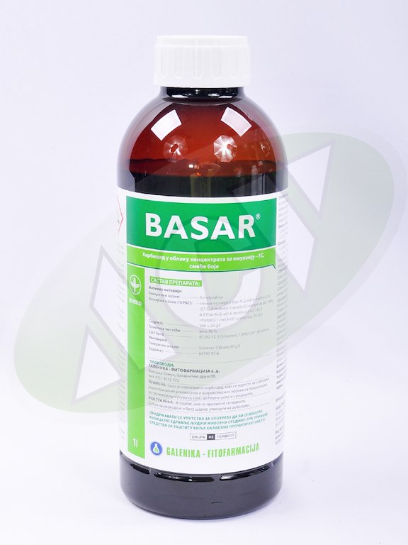 BASAR 1|1
