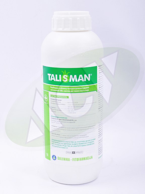 TALISMAN 1|1