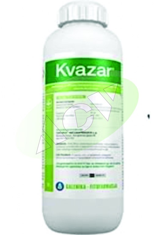 KVAZAR 1|1