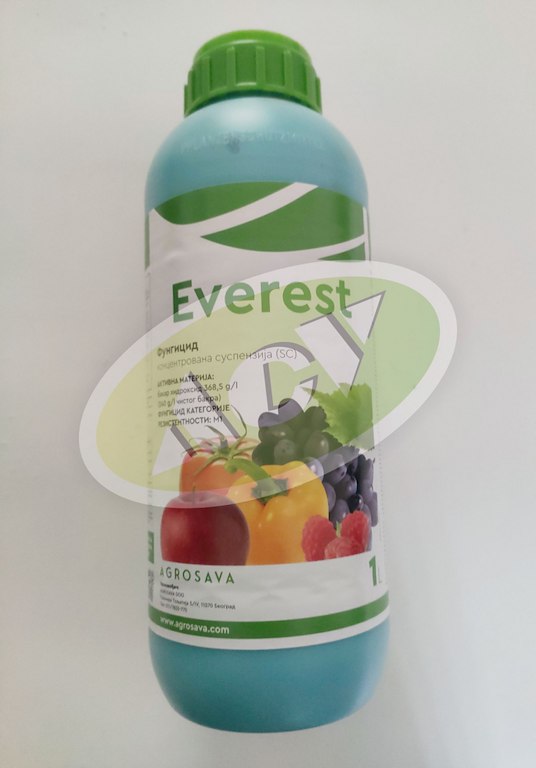 EVEREST 1|1