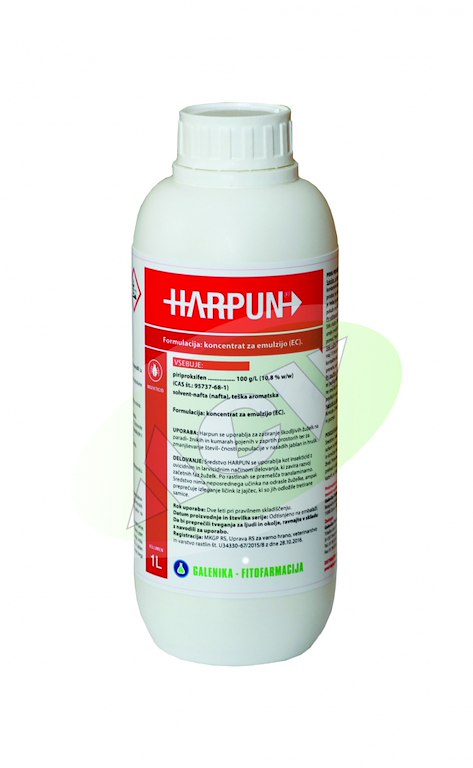 HARPUN 1|1