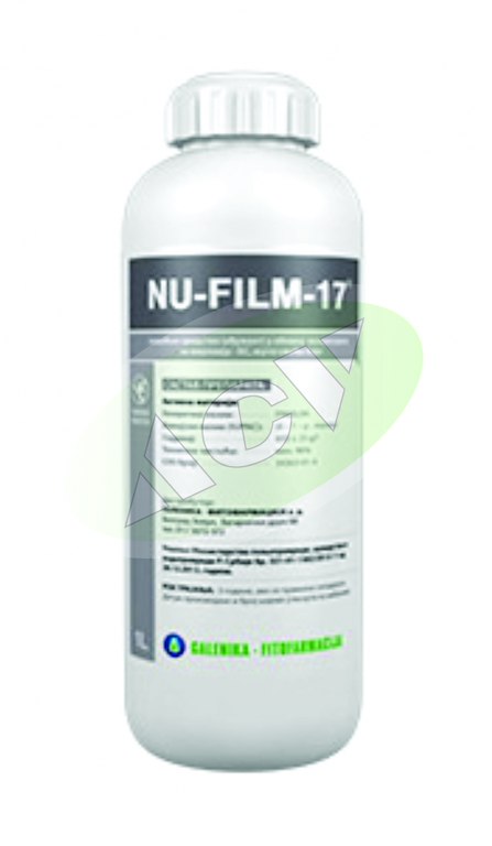 NU FILM 1|1