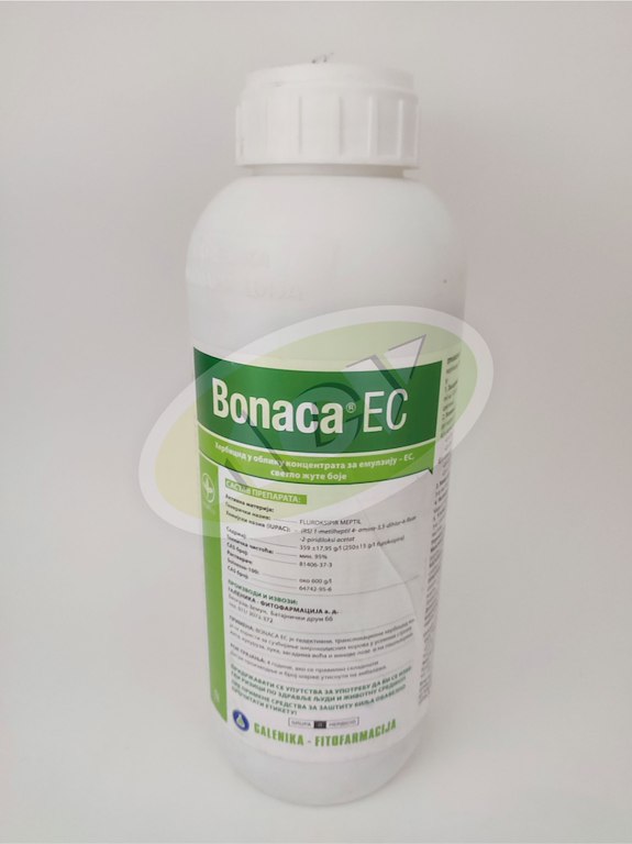 BONACA 1|1