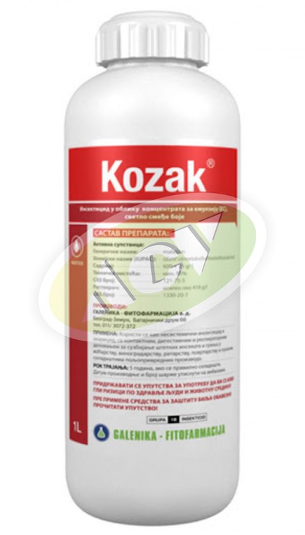 KOZAK 1|1