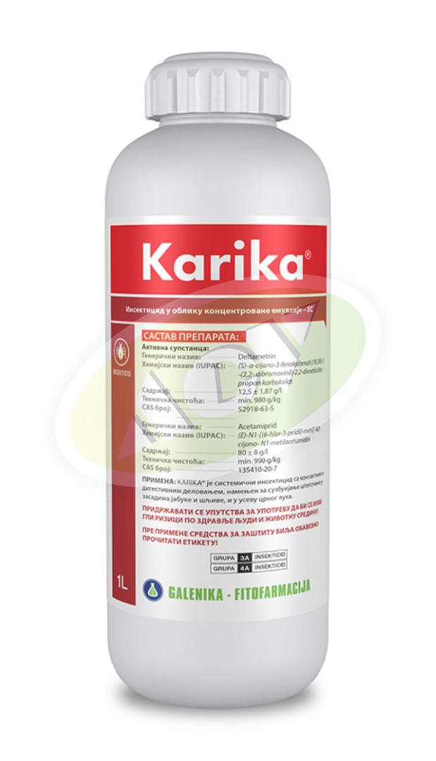 KARIKA 1|1