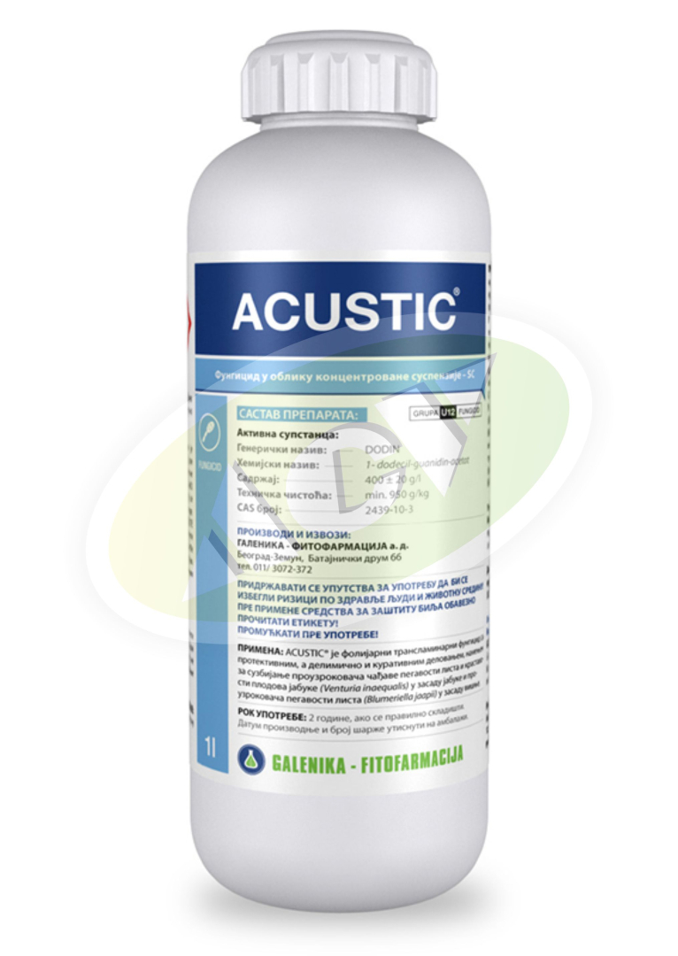 ACUSTIC 1|1