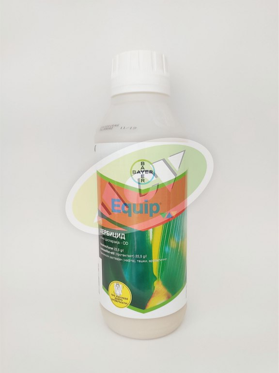EKVIP 1|1