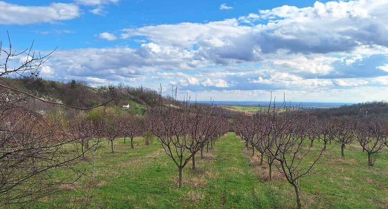 Prodajem plac-zemlju LUX zona