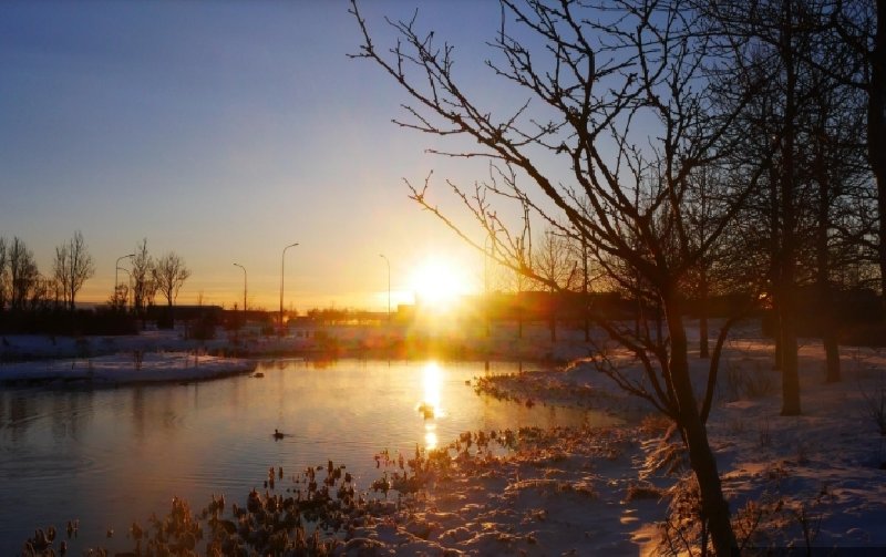 Ожењен,озбиљан тражи удату, усамљену, згодну....