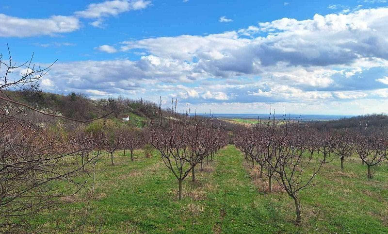 Prodajem plac-zemlju LUX zona Irig