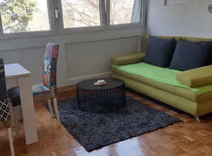 Izdavanje Stan - Beograd, Novi Beograd: Bežanijska kosa
