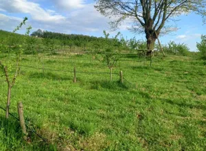 Prodaja Građevinsko zemljište - Beograd