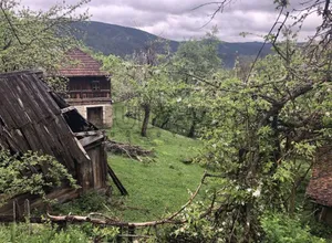 Prodaja Vila - Čajetina