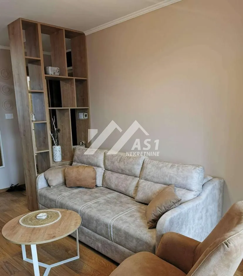 Izdavanje, stan, 28m², Bulevar Oslobodjenja, Novi Sad Sve Podlokacije