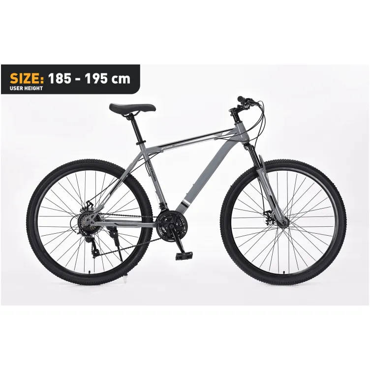 Xplorer MTB bicycle MATTERHORN Gray 29"