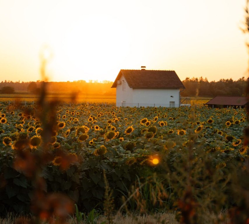 Party Corner Beočin