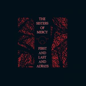 The sisters of mercy