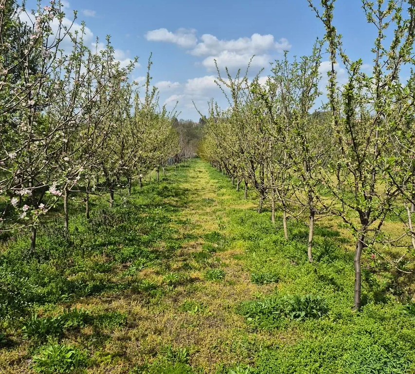 Prodaja, plac, 2950m², Voždovac Sve Podlokacije, Beograd