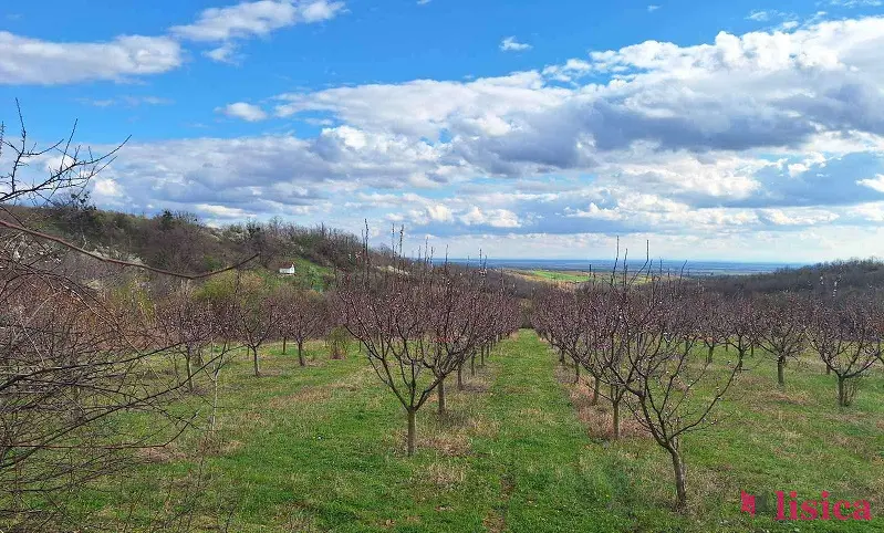 Prodajem plac - zemlju LUX zona