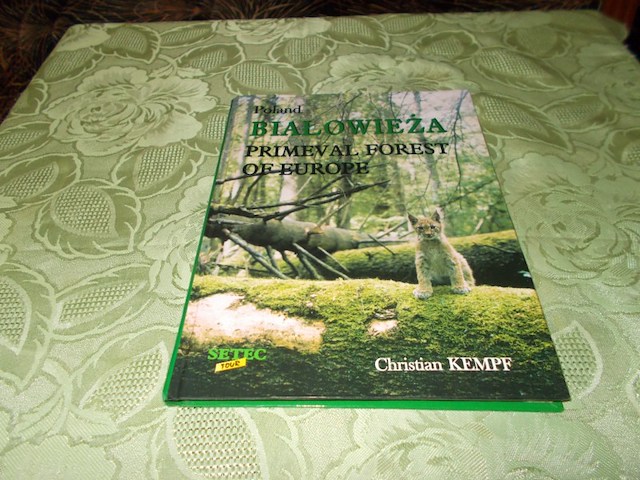 Primeval forest of Europe - Poland - Christian Kempf