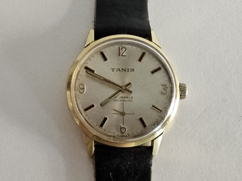 TANIS 17 Jewels --Br.196