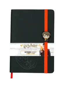 Agenda - Harry Potter, Harry Potter