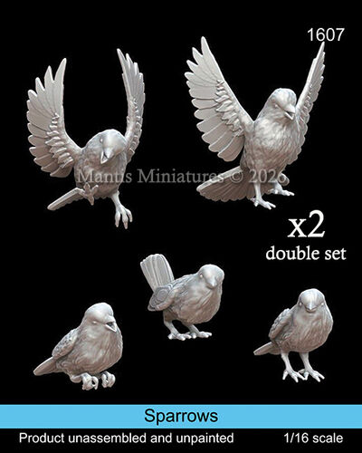 NEW! Mantis Miniatures 1607 Sparrows